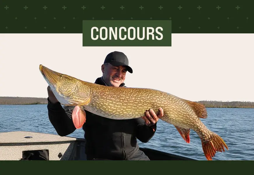 Concours SAIL 2025 - Concours Au Québec